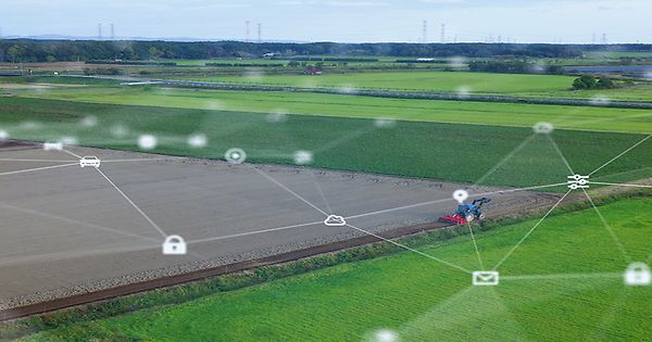 New structures for data-driven agrifood systems